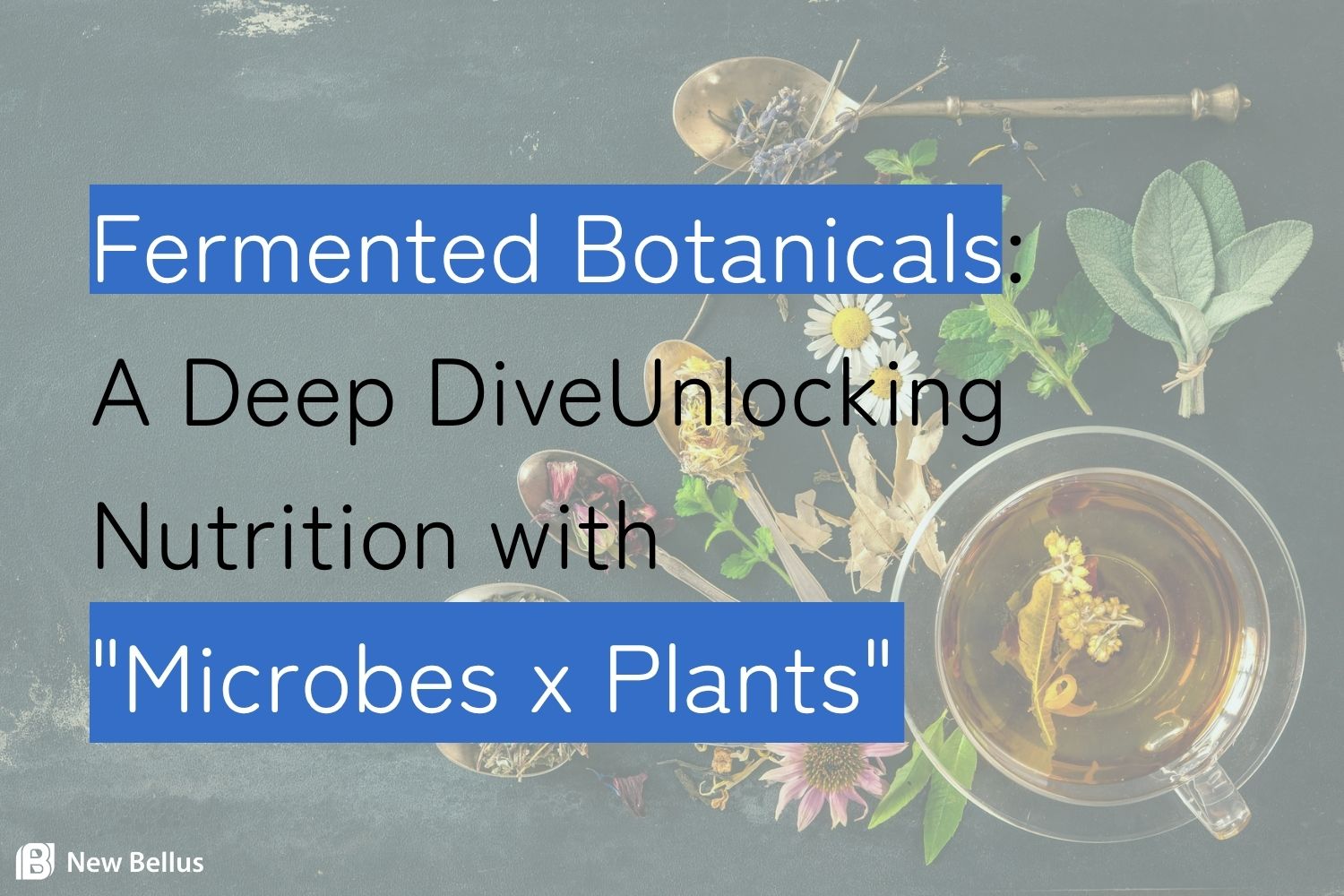 Comprehensive Guide to Fermented Botanical Ingredients: Unlocking ...